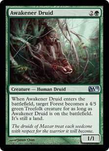 Awakener Druid MtG Art from Magic 2011 Set by Jason Chan - Art of Magic ...