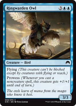 Ringwarden Owl MtG Art from Magic Origins Set by Titus Lunter - Art of ...