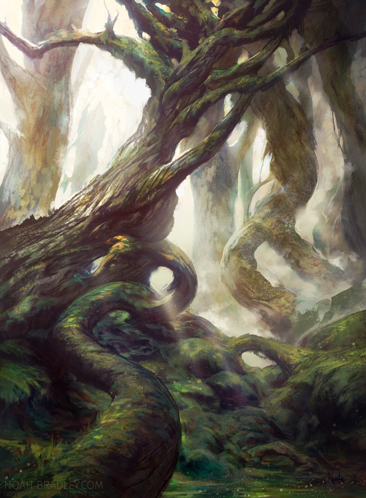 Forest MtG Art from Battle for Zendikar Set by Noah Bradley - Art of ...