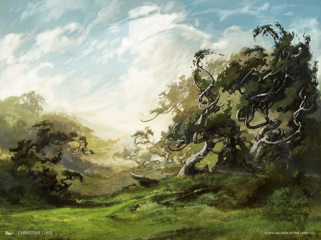 Forest MtG Art from Kaladesh Set by Christine Choi - Art of Magic: the Gathering