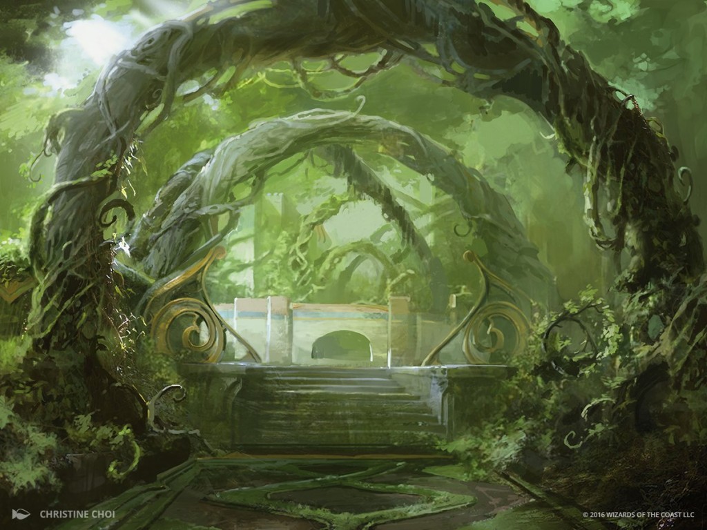 Magic The Gathering Forest Art