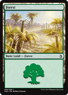 Forest MtG Art from Amonkhet Set by Matt Stewart - Art of Magic: the ...
