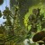 Guilds of Ravnica MTG Art - Art of Magic: the Gathering