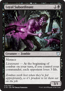 Loyal Subordinate MtG Art from Commander 2018 Set by Tomasz Jedruszek ...