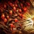 Magic the Gathering Art by Seb McKinnon - Art of Magic: the Gathering