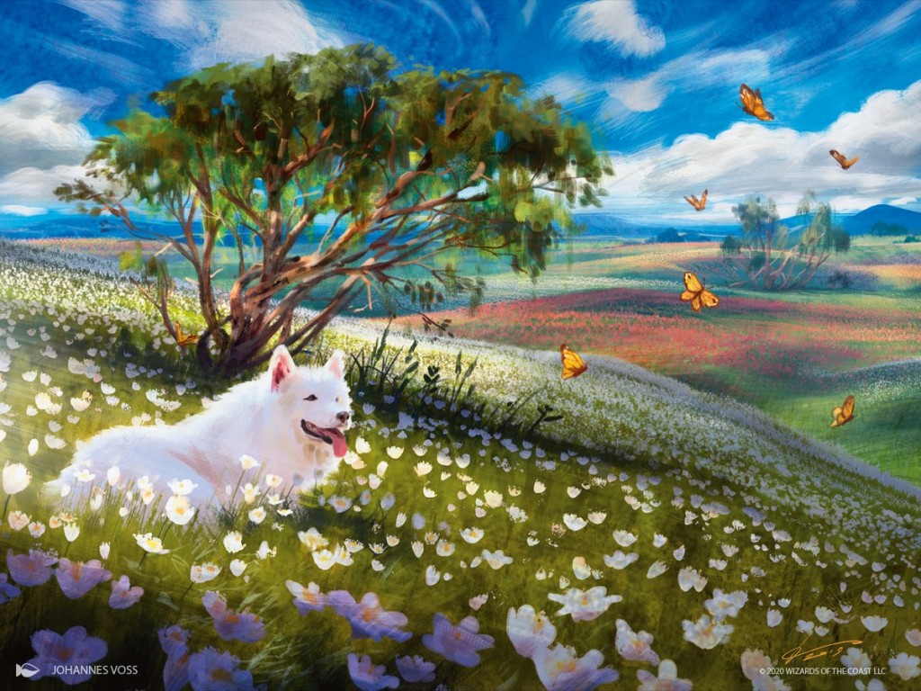 Plains MtG Art from Jumpstart Set by Johannes Voss - Art of Magic: the ...