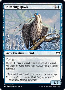 Pilfering Hawk MtG Art from Kaldheim Set by Dan Scott - Art of Magic ...