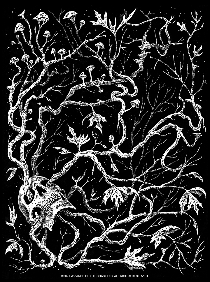 Forest MtG Art from Secret Lair Set by Mark Riddick - Art of Magic: the ...