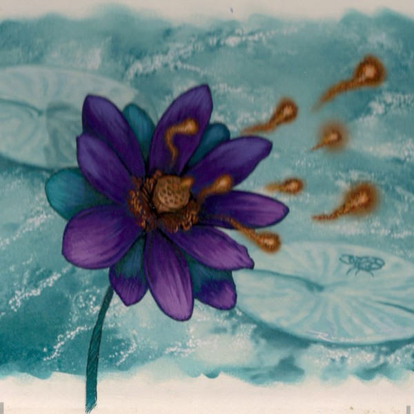 Magic the Gathering Art by Christopher Rush - Art of Magic: the Gathering