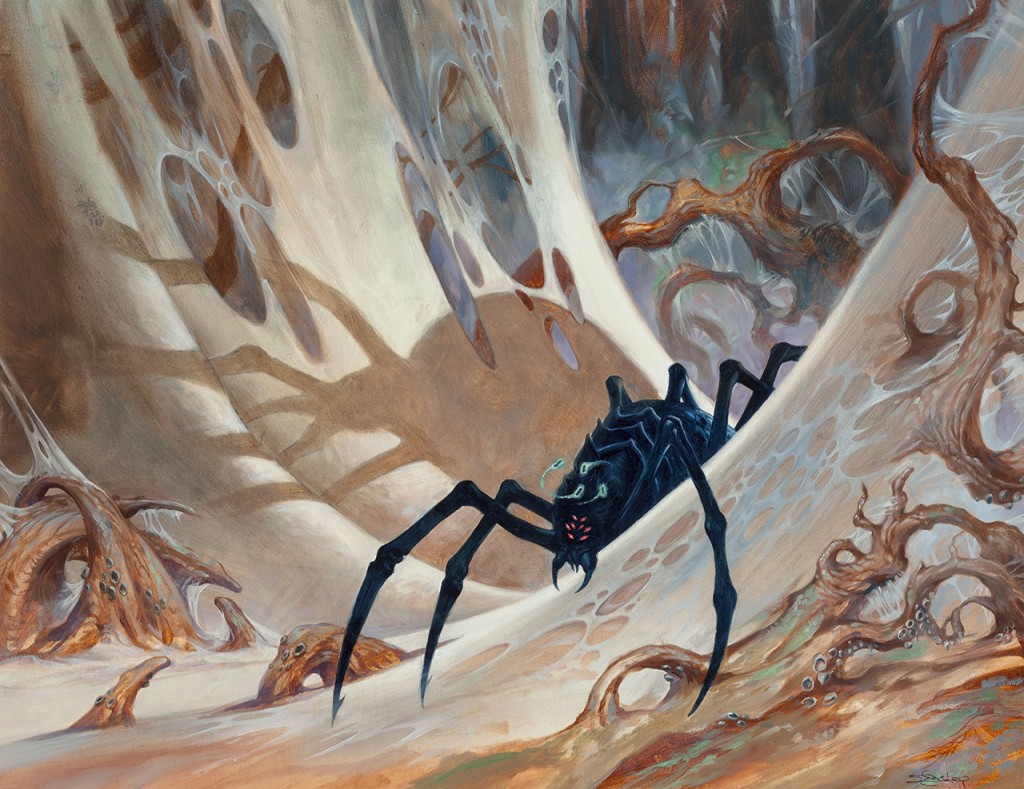 Penumbra Spider MtG Art from Commander, Modern Masters, Modern Masters ...
