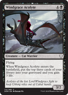 Windgrace Acolyte MtG Art from Dominaria Set by Bayard Wu - Art of ...