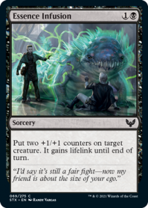 Essence Infusion MtG Art from Strixhaven Set by Randy Vargas - Art of ...