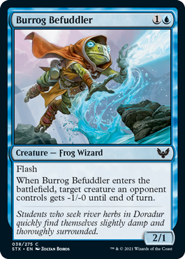Burrog Befuddler MtG Art from Strixhaven Set by Zoltan Boros - Art of ...
