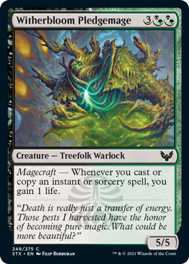 Witherbloom Pledgemage MtG Art from Strixhaven Set by Filip Burburan ...
