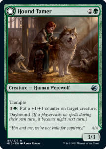 Hound Tamer MtG Art from Innistrad: Midnight Hunt Set by Randy Vargas ...