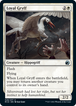 Loyal Gryff MtG Art from Innistrad: Midnight Hunt Set by Ilse Gort ...
