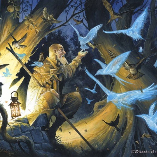 Magic the Gathering Art by Wayne Reynolds - Art of Magic: the Gathering