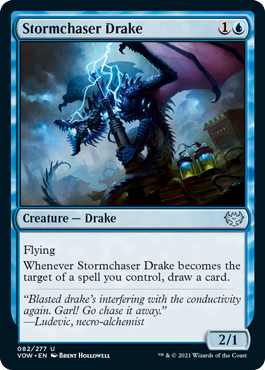 Stormchaser Drake MtG Art from Innistrad: Crimson Vow Set by Brent ...