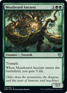 Mossbeard Ancient MtG Art from Dominaria United Set by Alexandre Honoré ...
