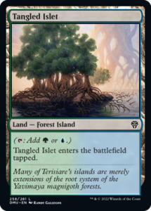 Tangled Islet MtG Art from Dominaria United Set by Randy Gallegos - Art ...