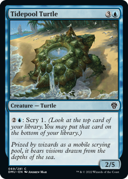 Tidepool Turtle MtG Art from Dominaria United Set by Andrew Mar - Art ...