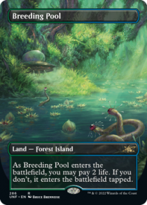 Breeding Pool MtG Art from Unfinity Set by Bruce Brenneise - Art of ...