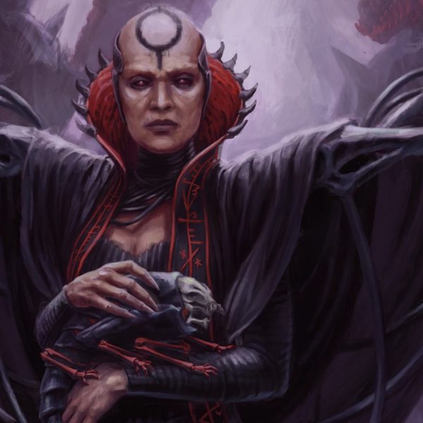 Shivan Reef MtG Art from Dominaria United Set by Andrew Mar - Art of ...