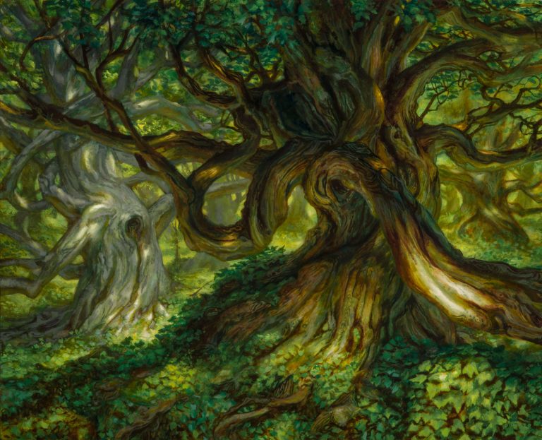 Forest MtG Art from Bloomburrow Set by Donato Giancola - Art of Magic ...